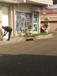 Ff (Luanda, Rua 9), uzman hizmetleri  Loanda'dan