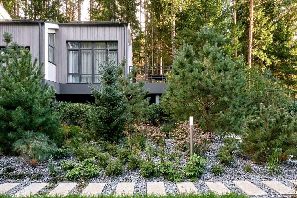 Peyzaj tasarımı Зелен, Saint‑Petersburg, foto