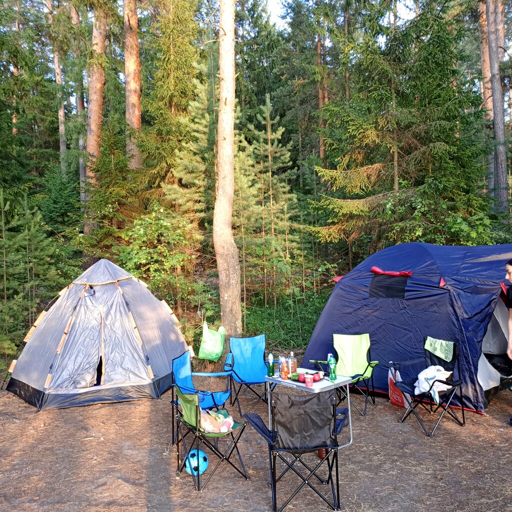 Piknik alanı Место для пикника, Vyksa, foto