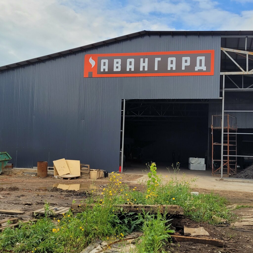 Soba, şömine Авангард, Tulskaya oblastı, foto