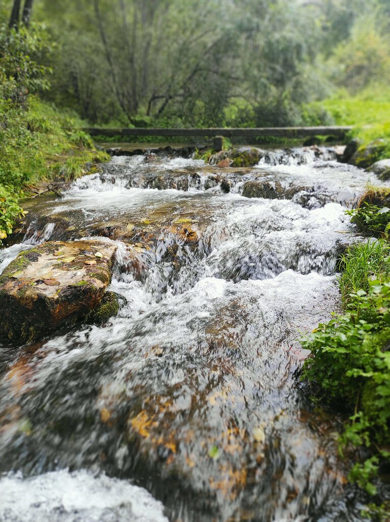 Pınar, çay Spring, stream, İrkutskaya oblastı, foto