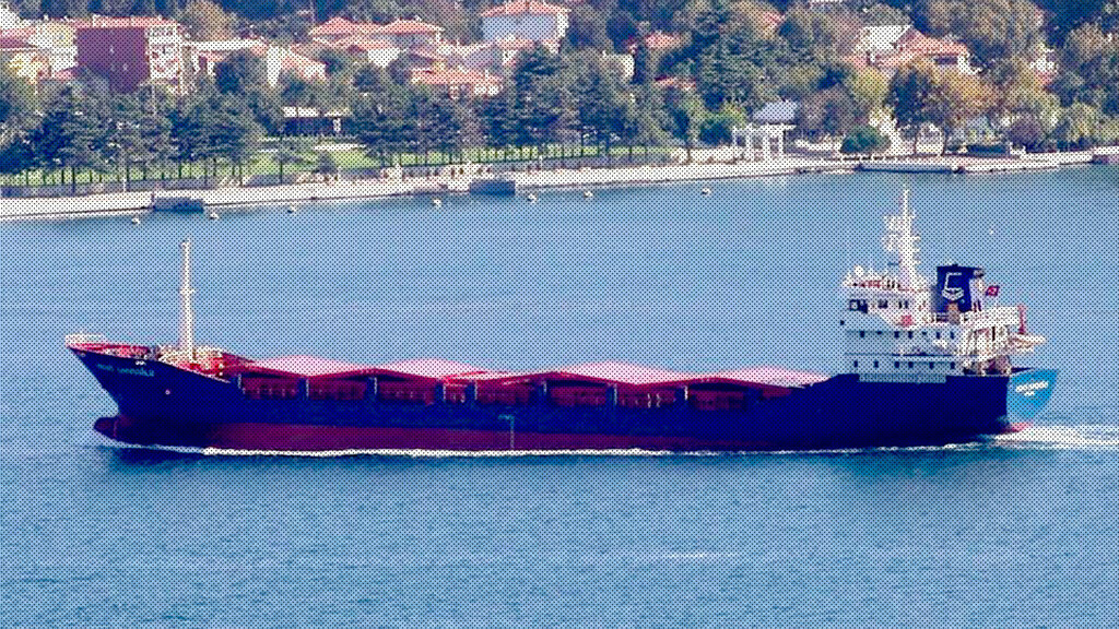 Deniz taşımacılığı Cvs Denizcilik, İstanbul, foto