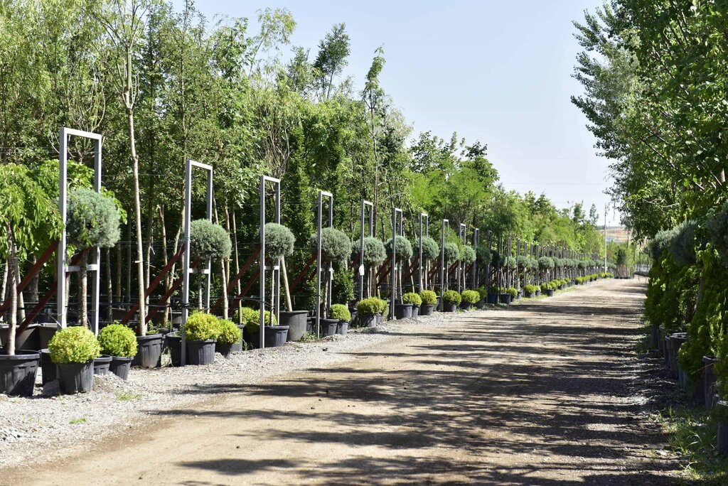 Kültür ve eğlence parkları Mogan Parkı, Ankara, foto
