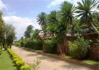 Spendwise Lodge and Apartments (Central Region, Lilongwe District, Lilongwe Nature Sanctuary), otel  Lilongve'den