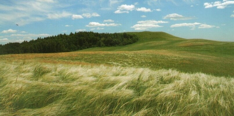 Dağ zirvesi Ванякина Шишка, Orenburgskaya oblastı, foto