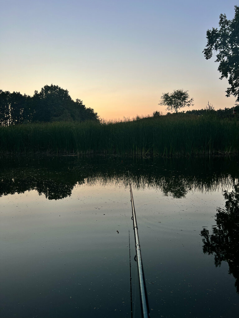 Çardak Gazebo, Tambovskaya oblastı, foto