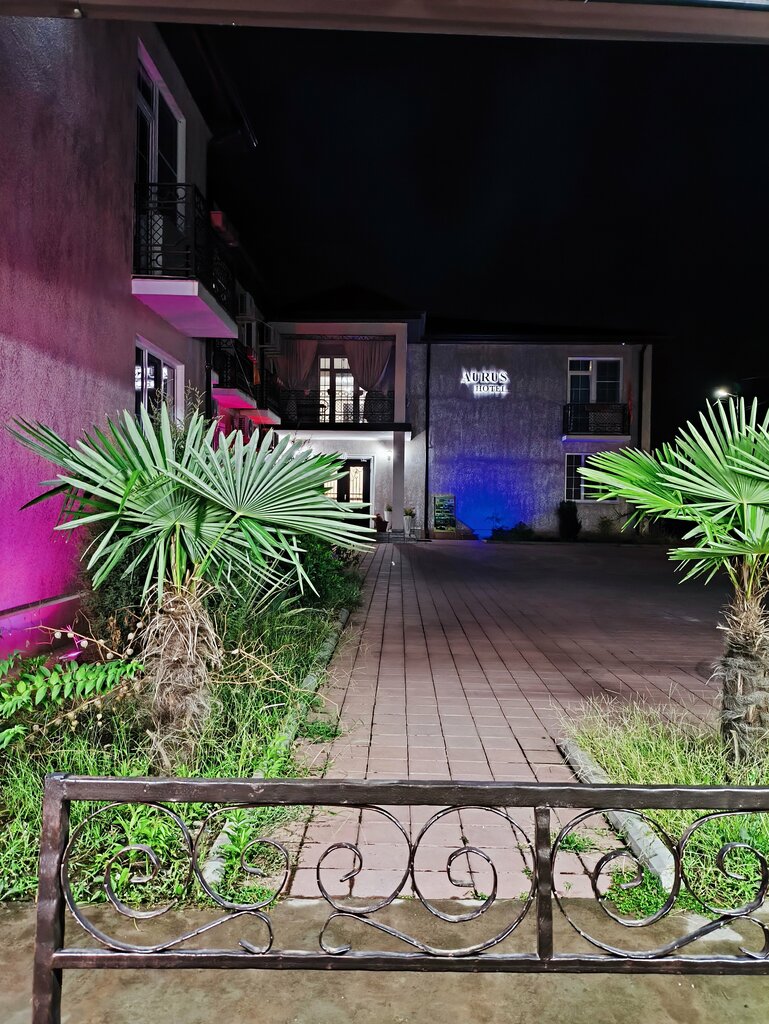 Otel Aurus, Sukhumi Bölgesi, foto