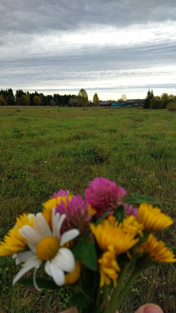 Resort oteller, tesisler Дом родителей, Vologodskaya oblastı, foto