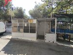 Dayıemir Mahalle Muhtarlığı (İzmir, Konak, Selçuk Mah., 668 Sok.), muhtarlıklar  İzmir'den