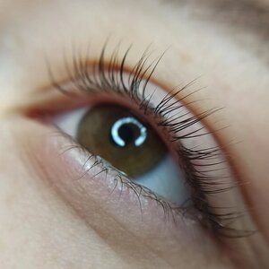 Love lashes ui (ulitsa Georgiya Dimitrova No:22), kaş ve kirpik salonu  Ust‑Ilimsk'ten