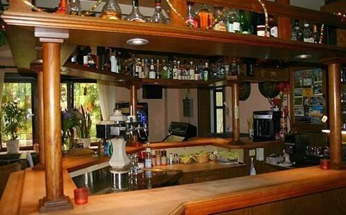 Otel Hotel Zum grünen Baum, Renanya‑Palatinate, foto