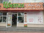 Магия роз (Bolshaya Borgustanskaya ulitsa No:20), çiçekçiler  Essentuky'den