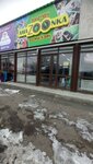 Amazoonka (Shemákın kóshesi No:136), petshop  Almatı'dan