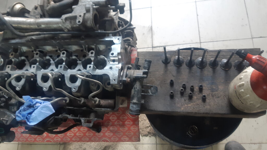 Otomobil servisi Reno-go, Saint‑Petersburg, foto