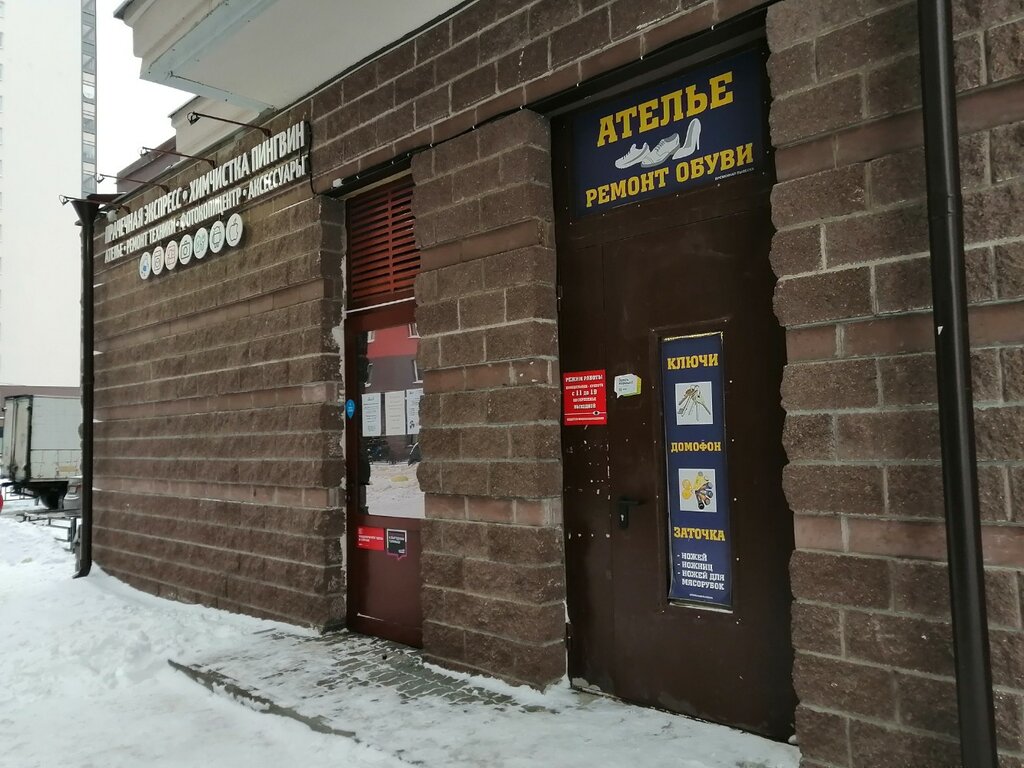 Kuru temizlemeciler Пингвин, Saint‑Petersburg, foto