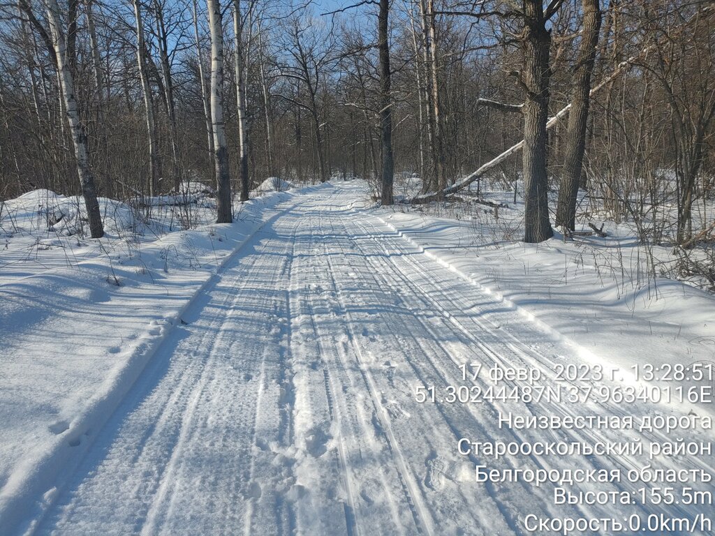 Orman урочище Заубля, Belgorodskaya oblastı, foto