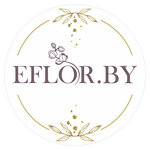 Eflor (Pushkina Street No:31А), çiçekçiler  Grodno'dan