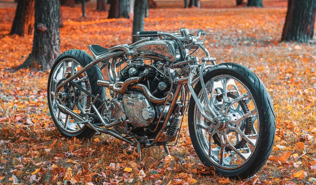 Motosiklet tamiri Zillers Garage, Moskova, foto
