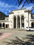 Railway station (kray Samtskhe-Dzhavakheti, City of Borjomi), tren garları