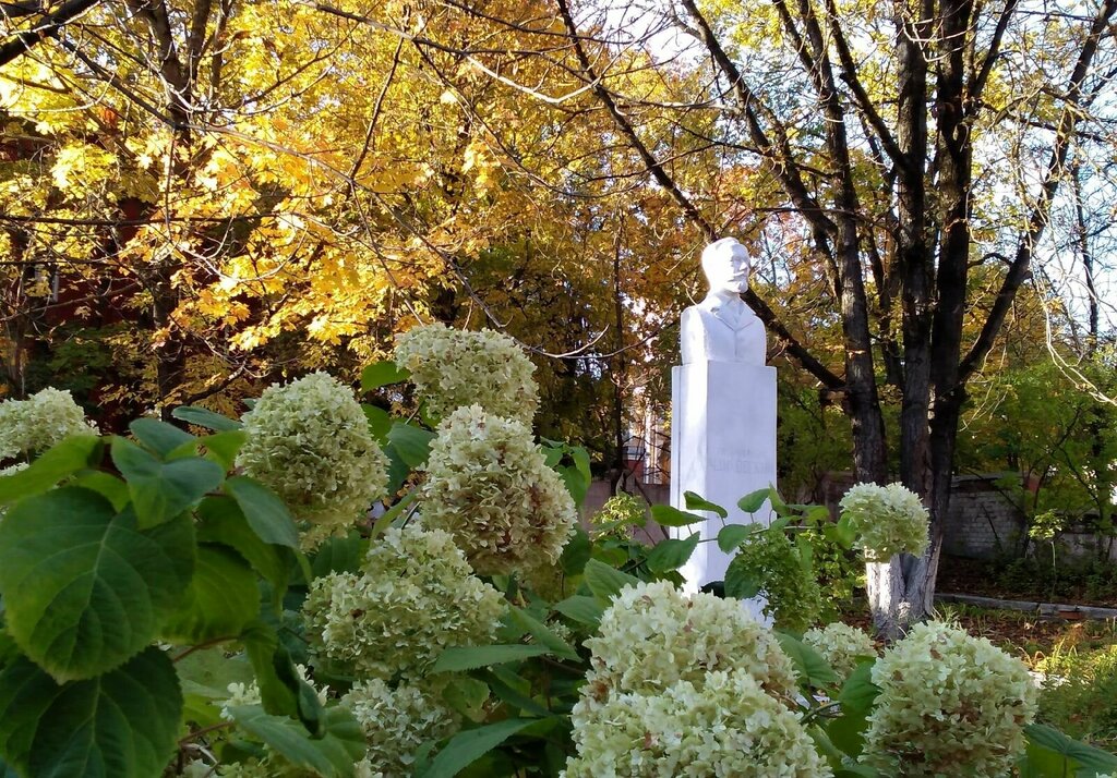 Anıt, heykel Бюст П.И. Чайковского, Kaluga, foto