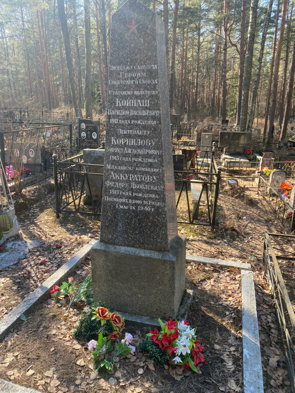 Anıt, heykel Братская могила советских летчиков, Sestroretsk, foto