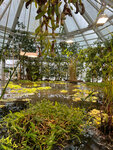 Kaisaniemi Botanical Garden (Uusimaa, Helsinki, Unioninkatu, 44), sergi salonları, galeriler  Helsinki'den