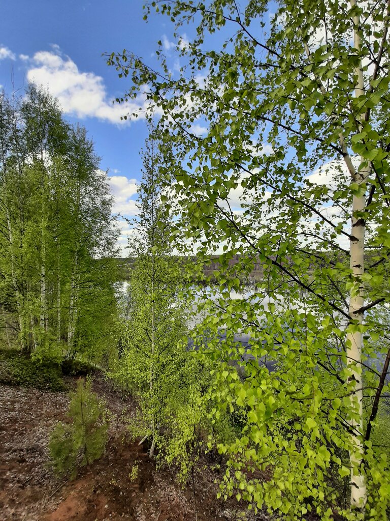 Seyir terası Смотровая площадка, Nijegorodskaya oblastı, foto