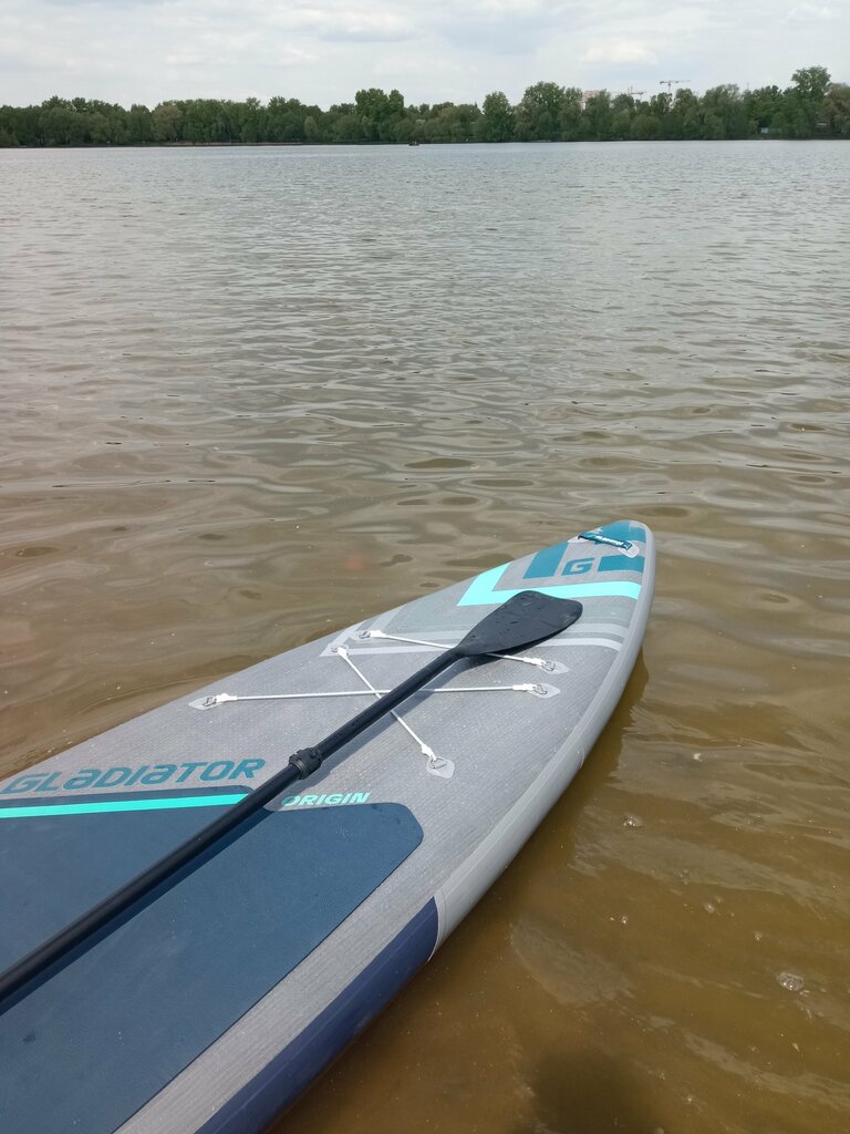 Kürek sörfü Supnaprokat. Rf, Moskova, foto