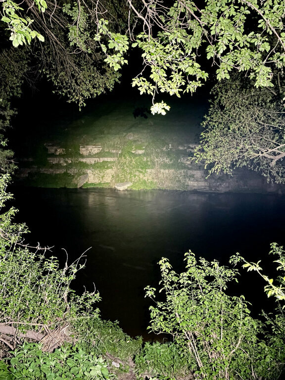 Orman Ведьмина роща, Lipetskaya oblastı, foto