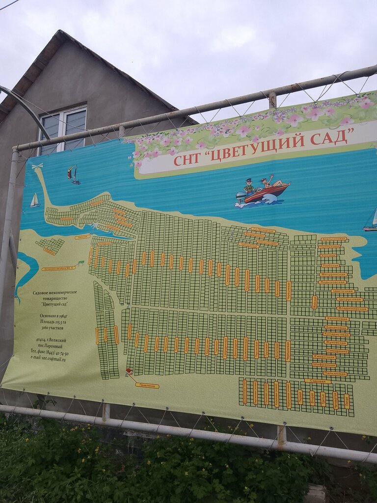 Bahçecilik dernekleri ve kuruluşları Snt Tsvetushchy sad, Voljski, foto