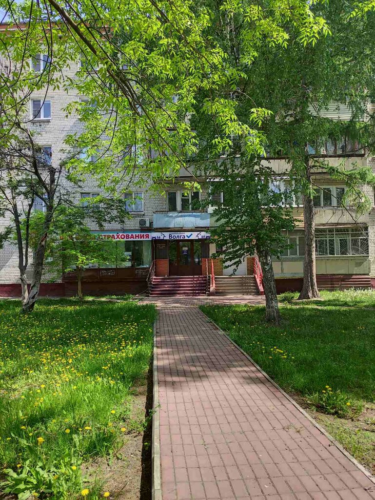 Sigorta şirketleri Strahovaya Gruppa Volga, Nijni Novgorod, foto