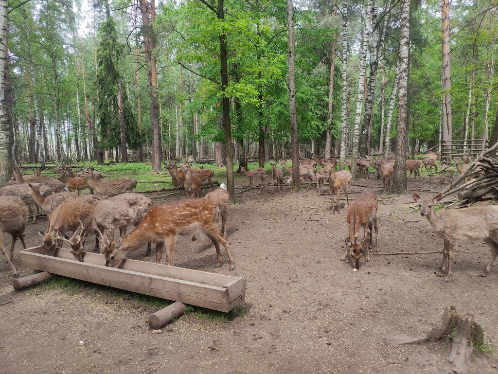 Avcılar ve balıkçılar ГБУ Но Гоох Но, Gorodets, foto