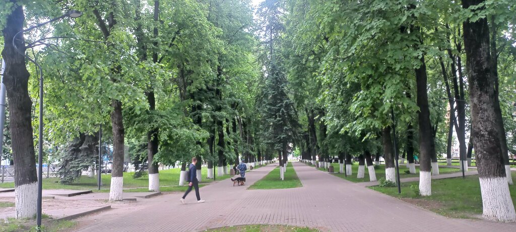 Kültür ve eğlence parkları Сквер Энергетиков, Briansk, foto