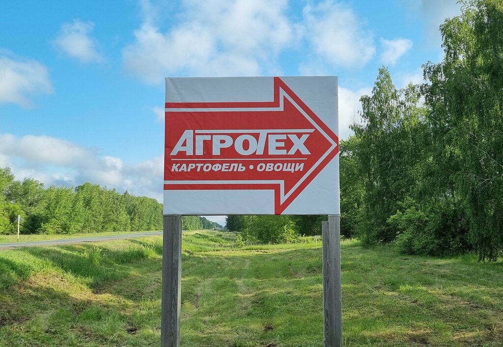 Tohum üretimi Agrotech, Ulyanovskaya oblastı, foto