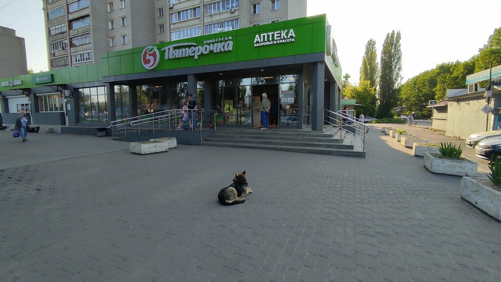 Elektronik eşya mağazaları Электроника, Lipetsk, foto