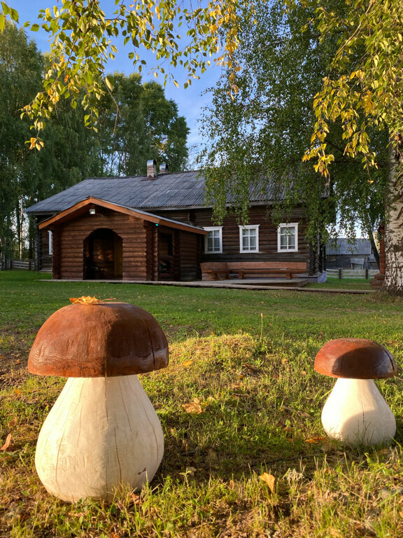 Otel Gostevoy dom Proshly vek, Arhangelskaya oblastı, foto
