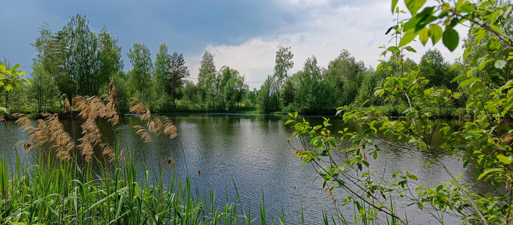Hamamlar Баня На берегу озера, Vladimirskaya oblastı, foto