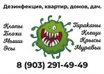 City disinfection service (Bogomolova Street No:3А), haşere ilaçlama firmaları  Koroliov'dan