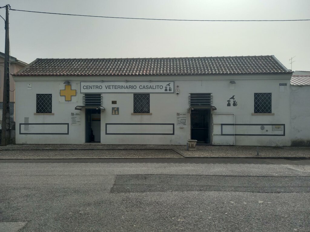 Evcil hayvan kuaförleri Centro Veterinário Casalito, Lizbon İlçesi, foto