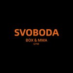 Svoboda (Zelyonye Allei Boulevard No:18), spor kulüpleri  Vidnoye'den