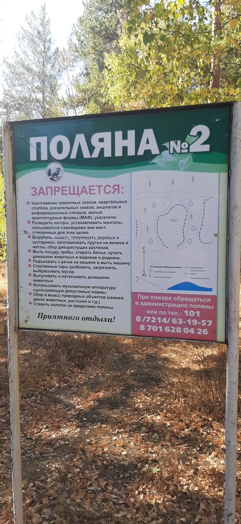 Piknik alanı Glade No. 2, Karağandı eyaleti, foto