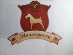 Monmoransi (Kosmonavtov Avenue No:61к1), evcil hayvan kuaförleri  Saint‑Petersburg'dan
