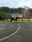 Конно-спортивный клуб Ашмарино (ulitsa Yuny Zapsibovets No:1К, posyolok Kulchany), at ve binicilik kulüpleri