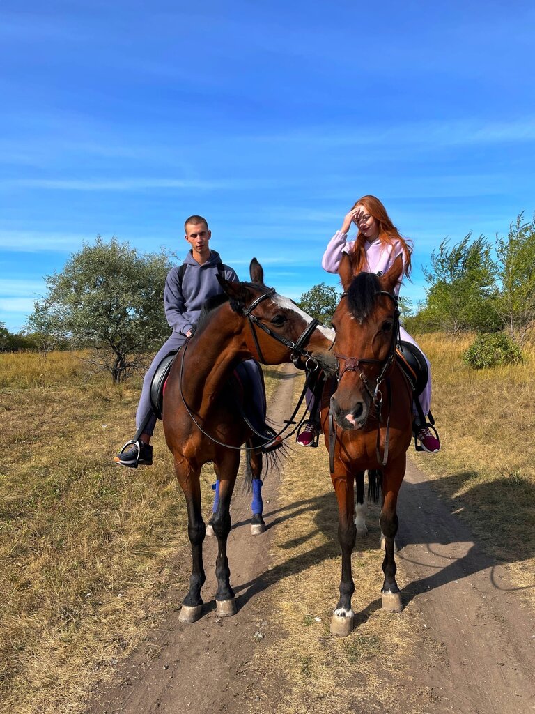 At ve binicilik kulüpleri Престиж, Çeliabinsk, foto