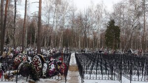 Ritual (Moscow Region, Domodedovo, Zabolotevskoe Cemetery), mezarlıklar  Domodedovo'dan