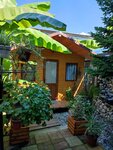 Гостевой дом у Левы (Osetinskaya ulitsa No:29), otel  Gagra'dan