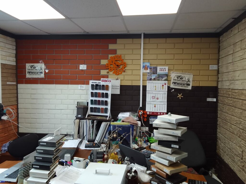 Çatı ve çatı materyalleri Raisa-Krovlya, Moskova, foto