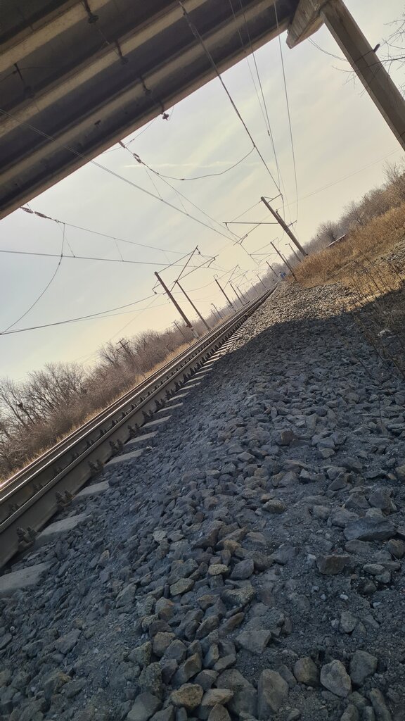 Tren istasyonu остановочный пункт Нагорный, Çeliabinskaya oblastı, foto