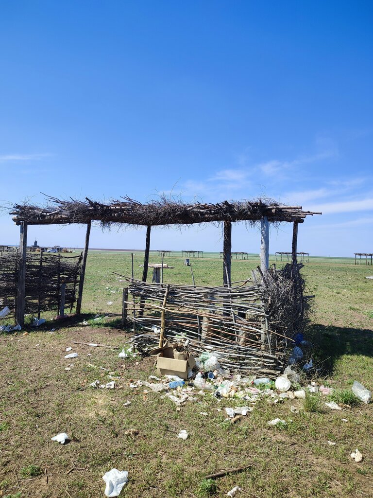 Doğa koruma alanı памятник природы Куриловская тюльпанная степь, Saratovskaya oblastı, foto