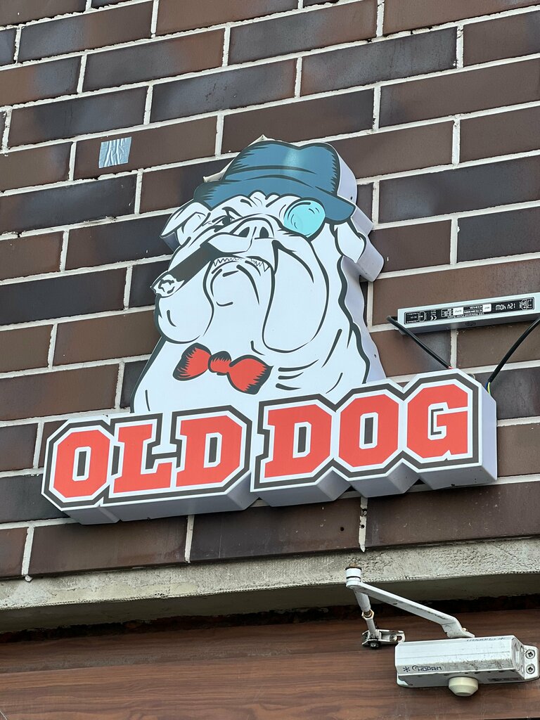 Elektronik sigara satış noktaları Old Dog, Vladimir, foto